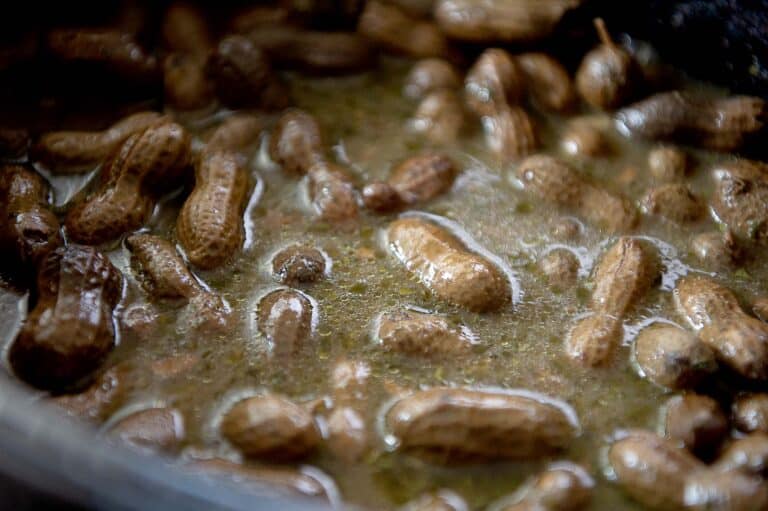 Boiled Peanuts