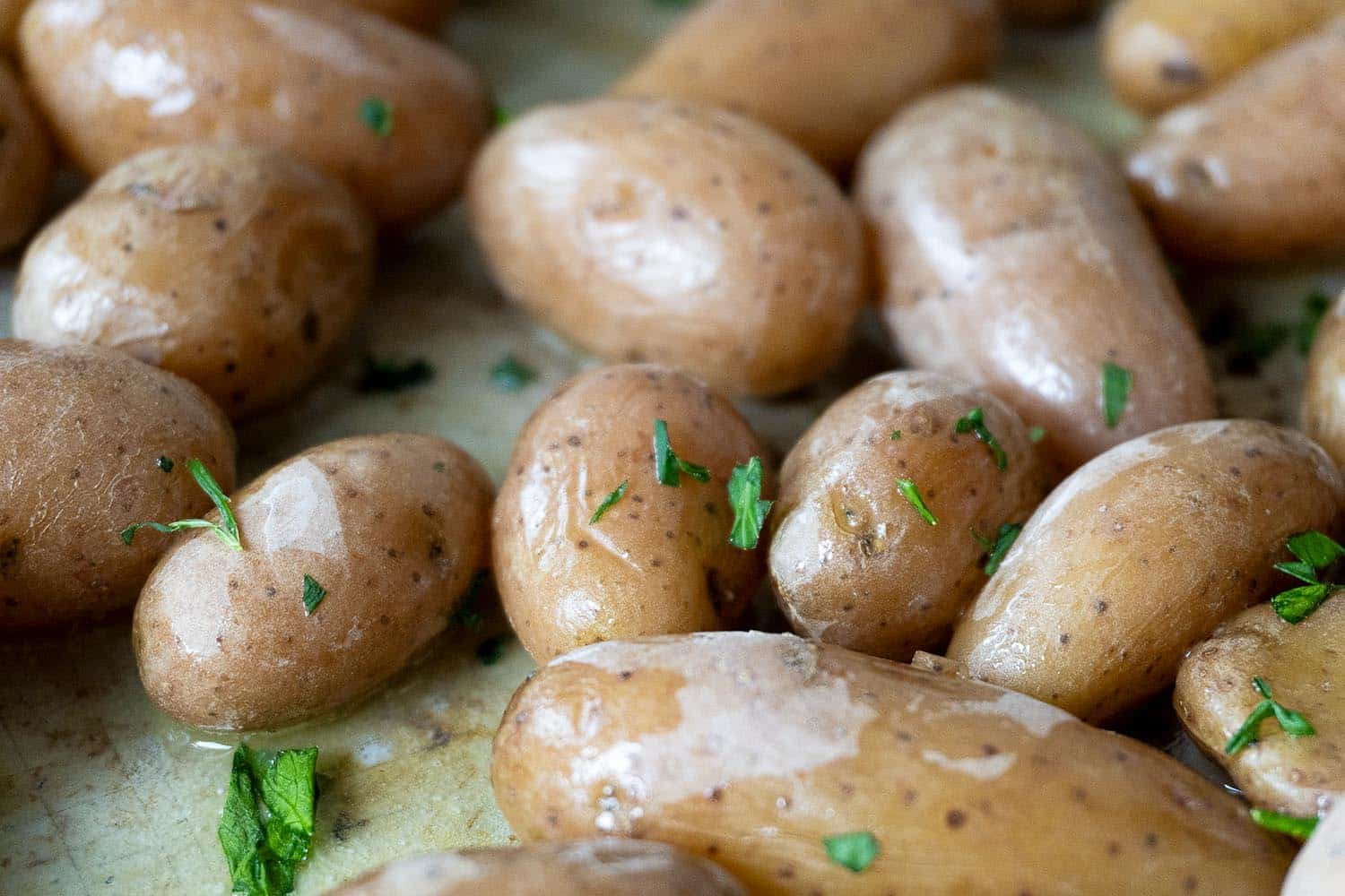 Salt Potatoes